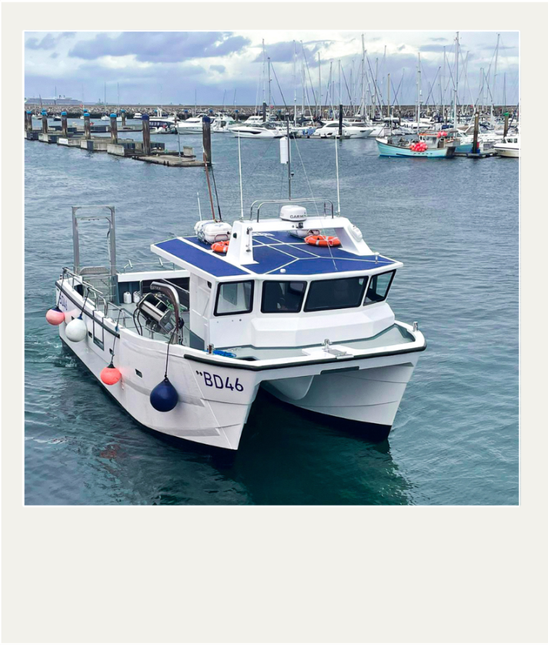 Discover Wild Frontier Charters | Expert crew | Ilfracombe